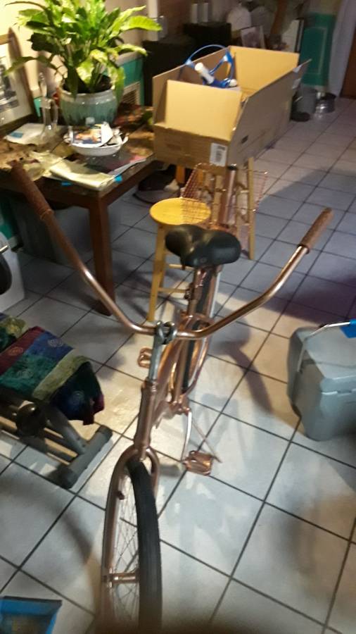 Copper Beach Cruiser Bike/ custom | Looknet