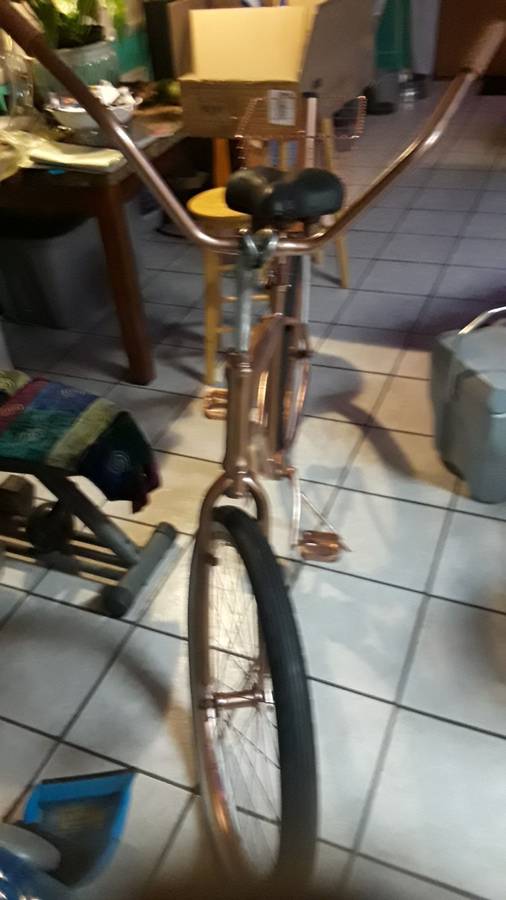 Copper Beach Cruiser Bike/ custom | Looknet