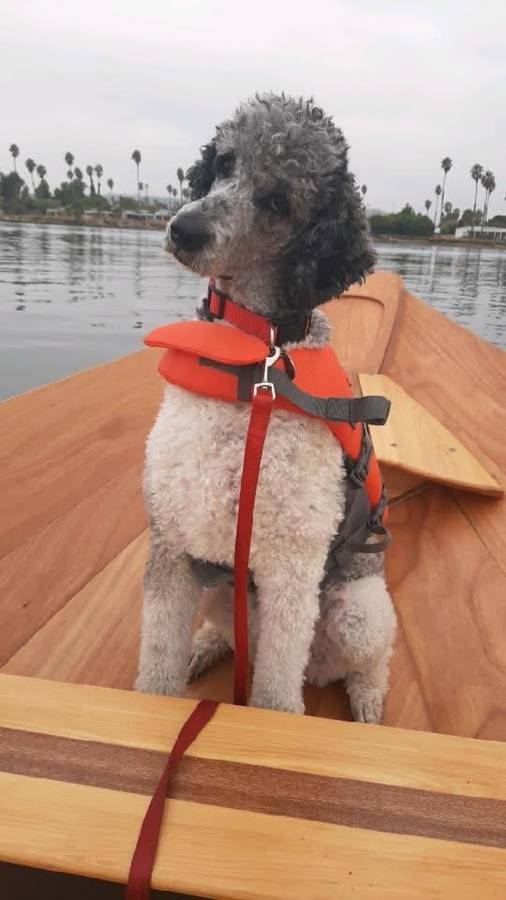 Hand Built Wooden Dory 17ft. Row Boat | Looknet